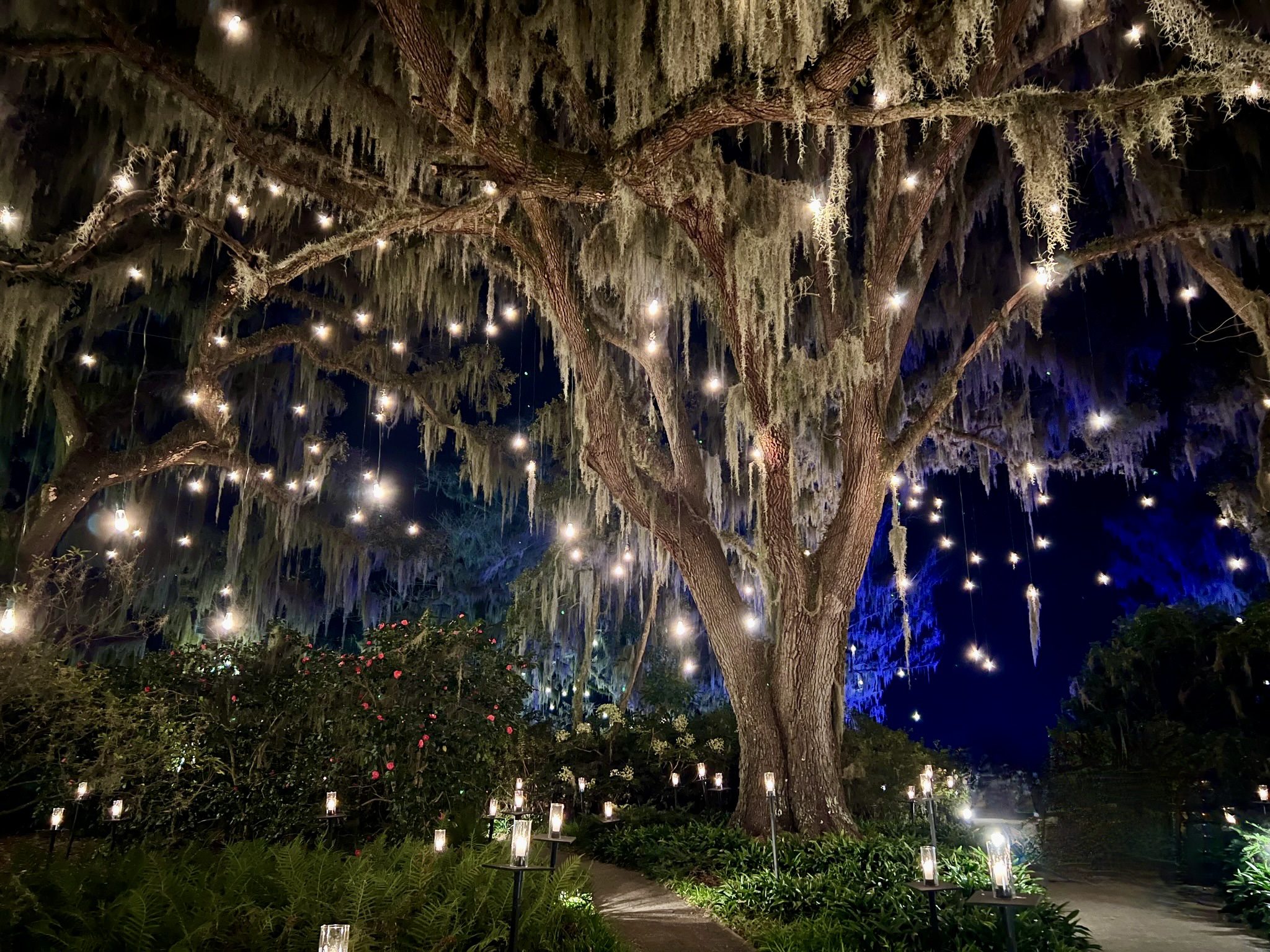 Brookgreen Gardens, NMB, SC, 843 Holiday